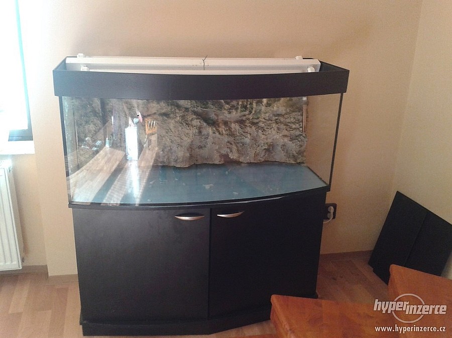 Prodám kulaté akvárium 120x50x50 cm - Teplice, Prodám - ChovZvířat.cz