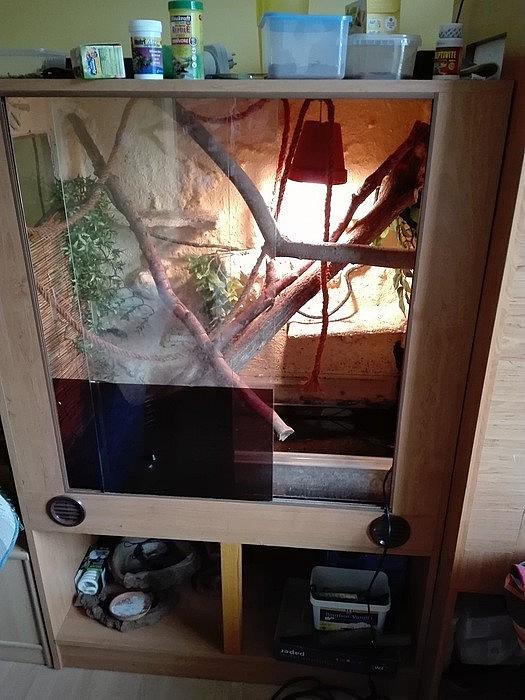 Terárium doma vyrobené - Plzeňský kraj, Prodám - ChovZvířat.cz