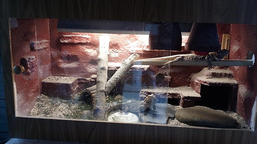 Terárium pro agamy - Mírovice (Praha - východ), Prodám - ChovZvířat.cz