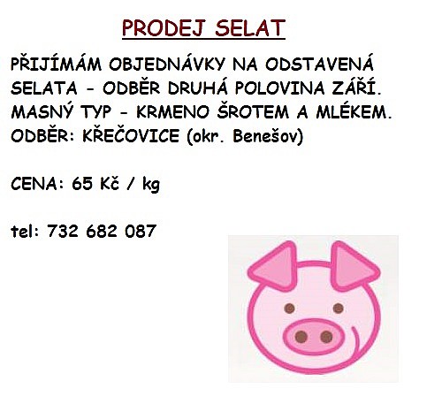 PRODÁM SELATA - Celá ČR, Prodám | ChovZvířat.cz