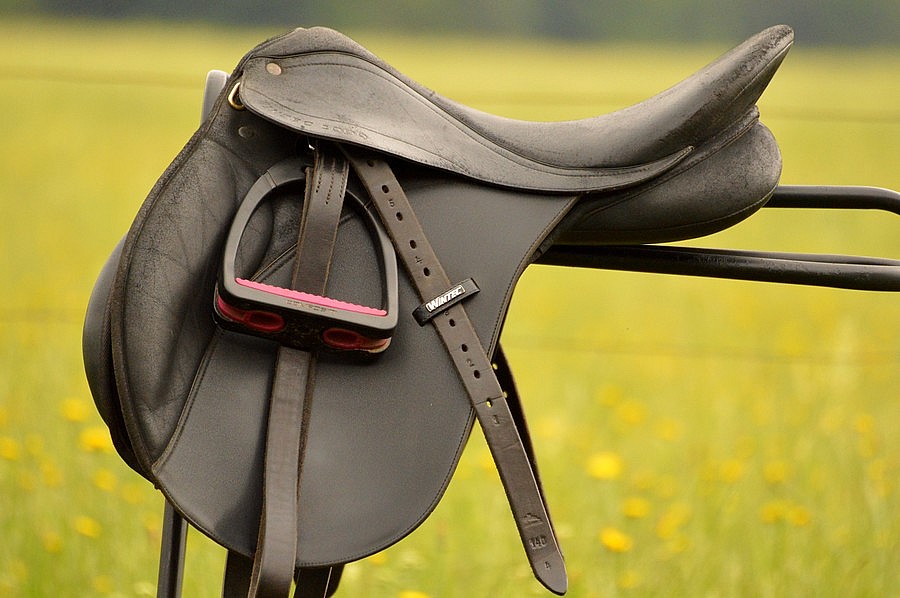 __Anglické sedlo Wintec 2000__ - Celá ČR, Prodám | ChovZvířat.cz