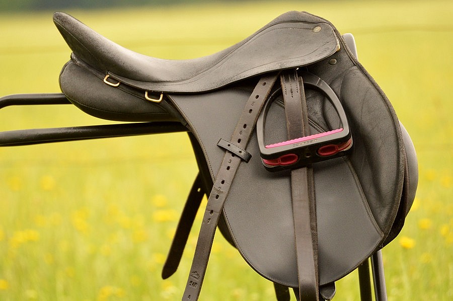 __Anglické sedlo Wintec 2000__ - Celá ČR, Prodám | ChovZvířat.cz