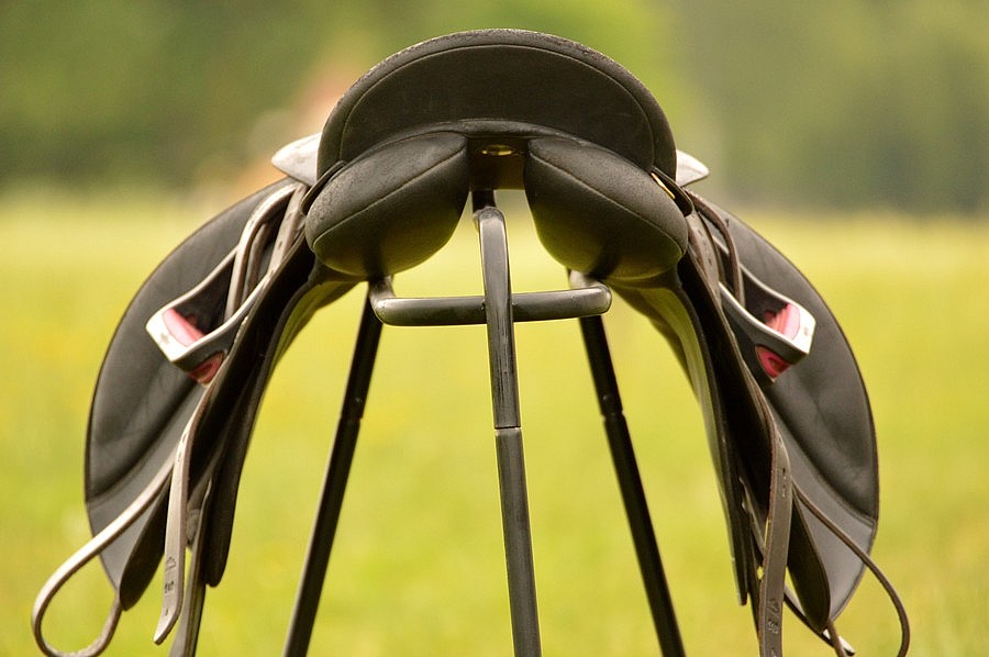 __Anglické sedlo Wintec 2000__ - Celá ČR, Prodám | ChovZvířat.cz