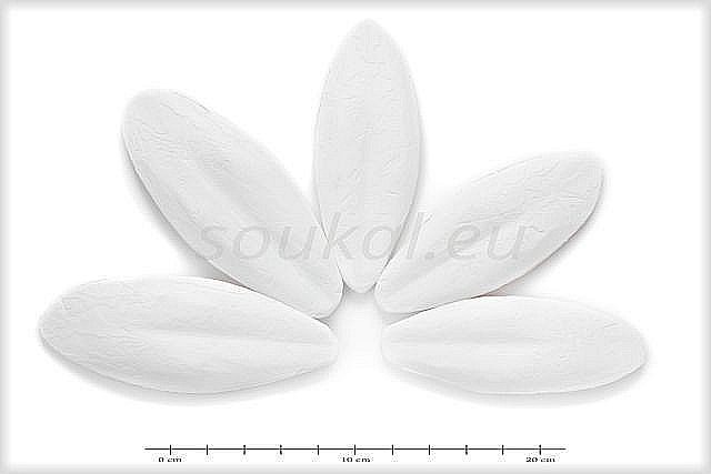 Senegalské proso, sépiové kosti a zlomky - Celá ČR, Prodám | ChovZvířat.cz