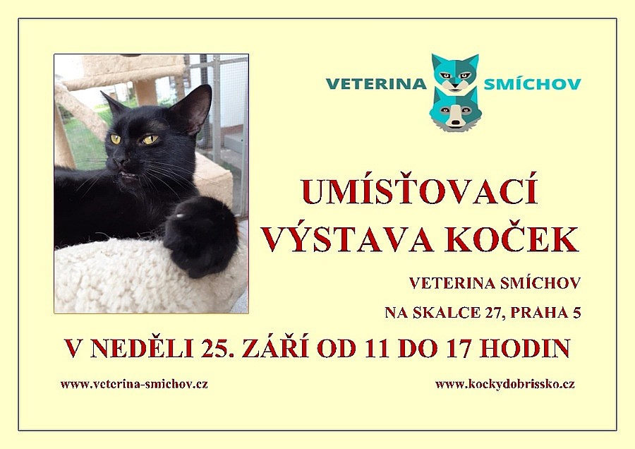 UMÍSŤOVACÍ VÝSTAVA KOČEK - Běchovice (Hlavní město Praha), Prodám ...
