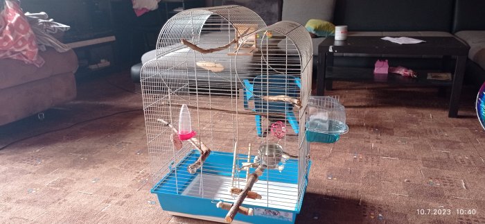 Klec pro andulky - Horní Těrlicko (Karviná), Prodám | ChovZvířat.cz