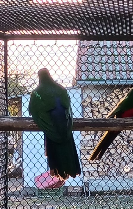 Penant,Kralovsky - Lomnice nad Lužnicí (část) (Jindřichův Hradec ...