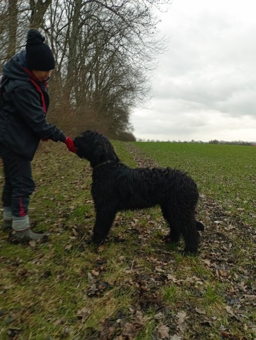 Briard černý pes - Bobnice (Nymburk), Prodám | ChovZvířat.cz