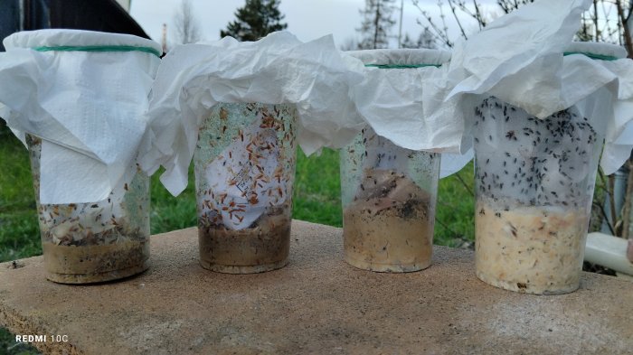 Nalétavé octomilky 2 druhy+zrnokaz skvrnitý - Kopřivnice (Nový Jičín ...